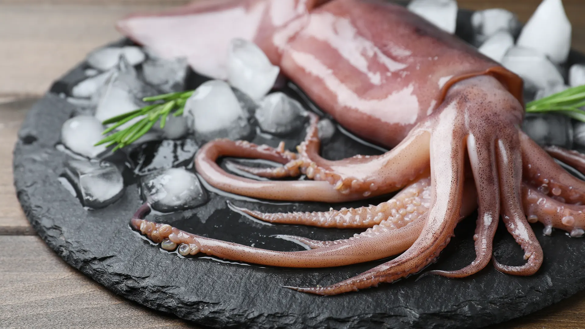 Molluschi - Fri&Gel | Commercio all’ingrosso di prodotti freschi e ...