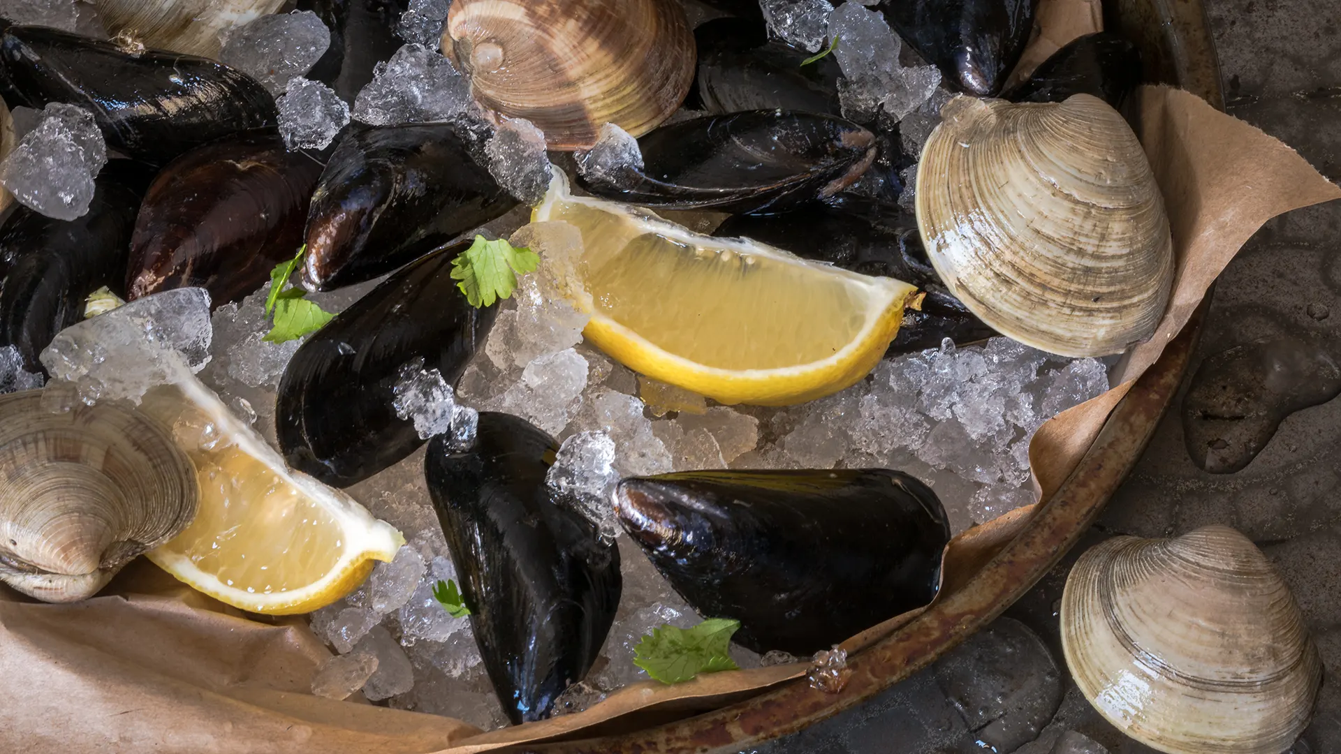 Cozze e vongole - Fri&Gel | Commercio all’ingrosso di prodotti freschi ...