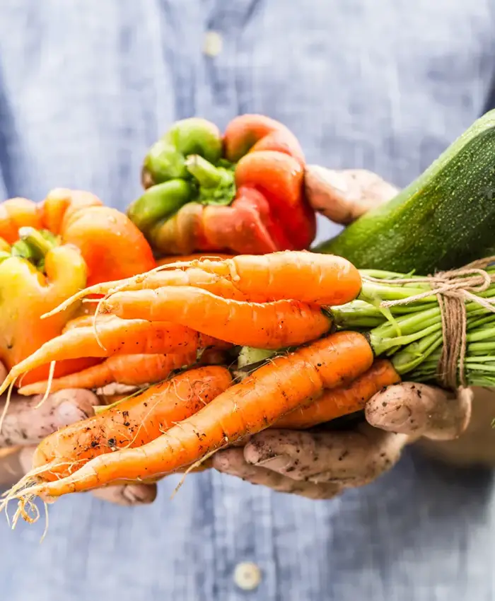 Prodotti - Fri&Gel | Commercio all’ingrosso di prodotti freschi e ...